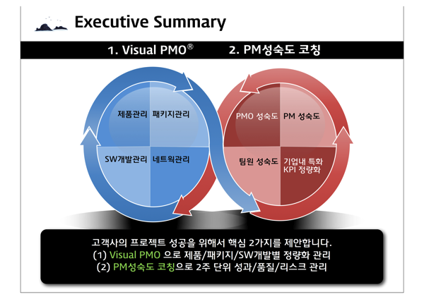 Project Research | Visual PMO 솔루션